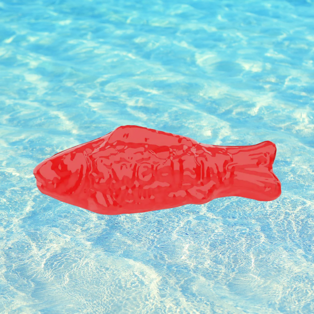 Swedish Fish Squishy Toy – The Store Before Time